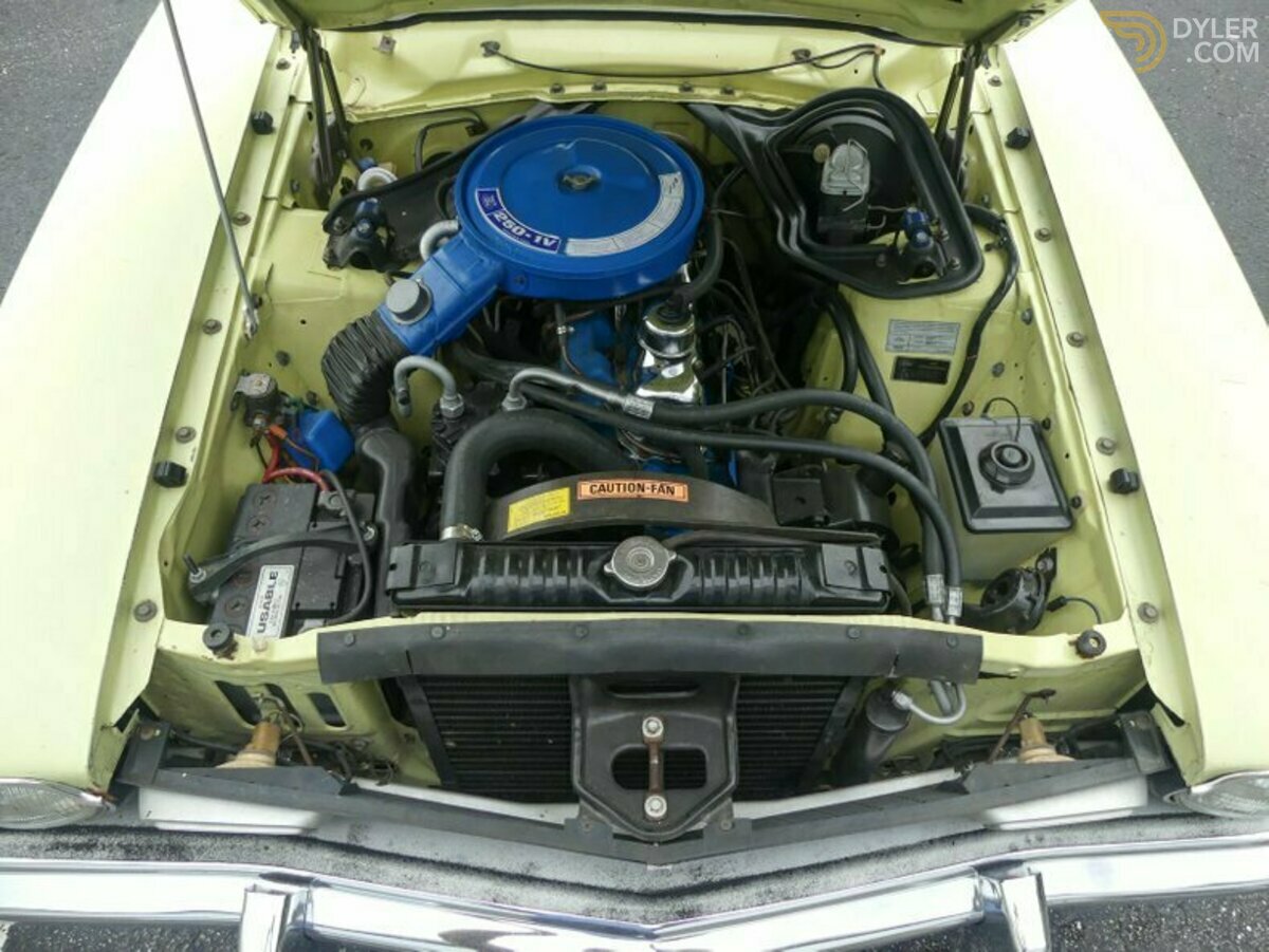 1976 Ford Maverick Engine