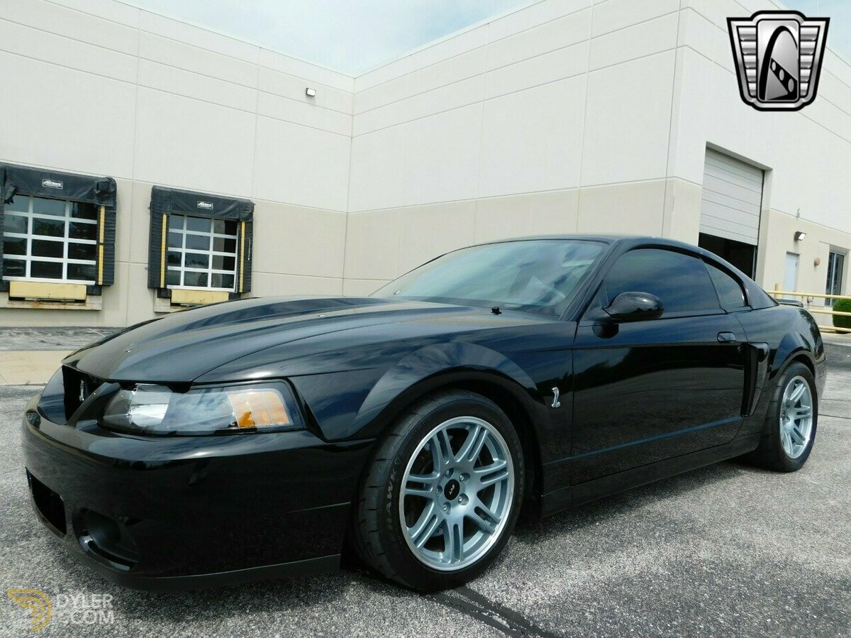 American Muscle Cars Mustang Cobra