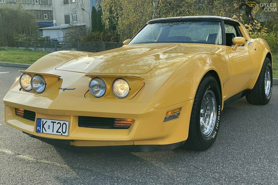Classic 1981 Chevrolet Corvette c3 For Sale. Price 28 500 eur - Dyler